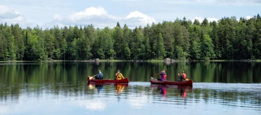 Rovaniemi: Guided Wilderness Kayaking Adventure - The Itinerary and Experience Breakdown