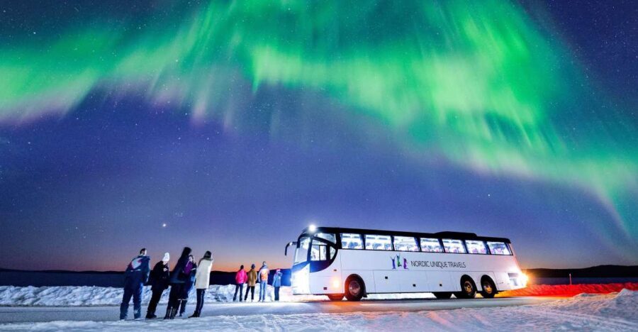 Rovaniemi: Hunting Northern Lights Bus Tour - Final Thoughts: Who Should Consider This Tour?
