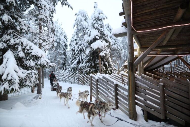 Rovaniemi: Husky and reindeer farm visit with sleigh rides