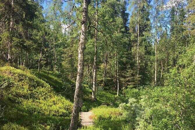 Rovaniemi Korouoma Canyon Hike and Barbecue Experience - Why Youll Love the Korouoma Canyon Hike and Barbecue