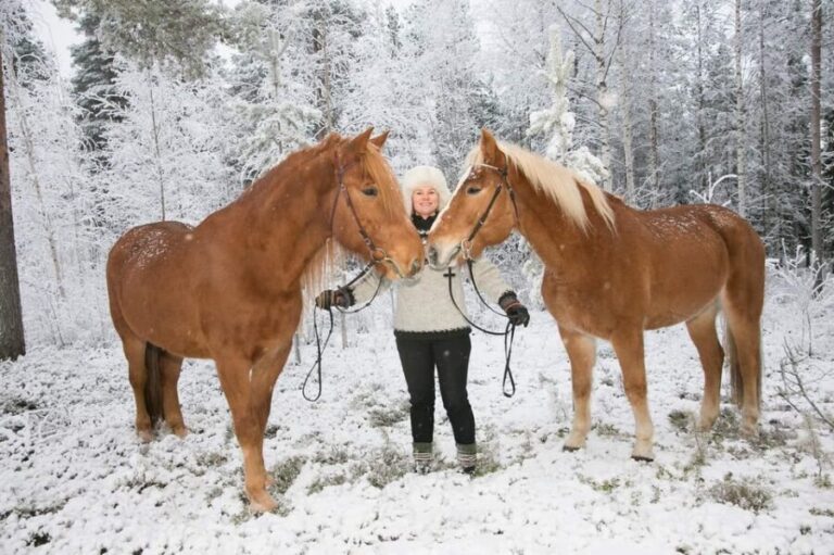 Rovaniemi: Late Night Ride with Finnhorses - The Value of the Experience