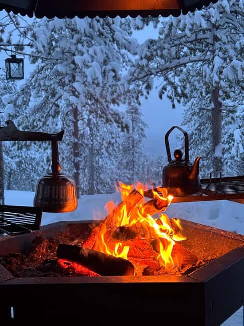 Rovaniemi: Mystical Lapland Forest Entry Ticket - Who Will Love This Tour?