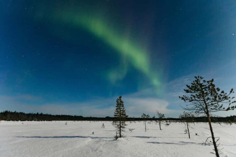 Rovaniemi: Northern Lights Family-Friendly Snowmobile Safari - Who Should Consider This Tour?