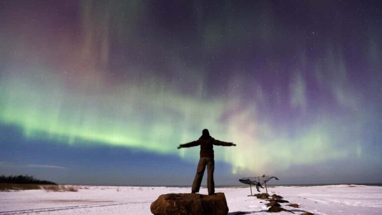 Rovaniemi: Northern Lights Hunt with Sausages and Hot Drinks - Why This Tour Offers Great Value