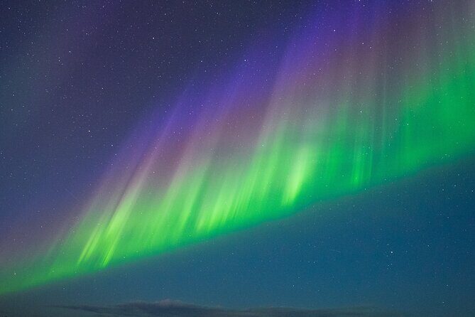 Rovaniemi: Northern Lights Hunting and Photography Tour - Value and Pricing: Is It Worth It?