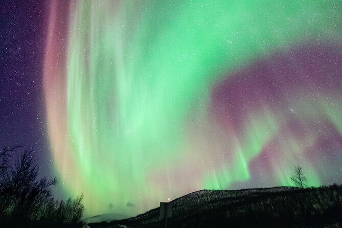 Rovaniemi: Northern Lights Pro Guaranteed - Unlimited (PRIVATE) - The Pros & Cons Based on Reviews