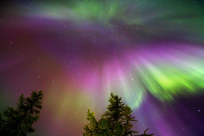 Rovaniemi: Northern Lights Tour - Who Is This Tour Perfect For?