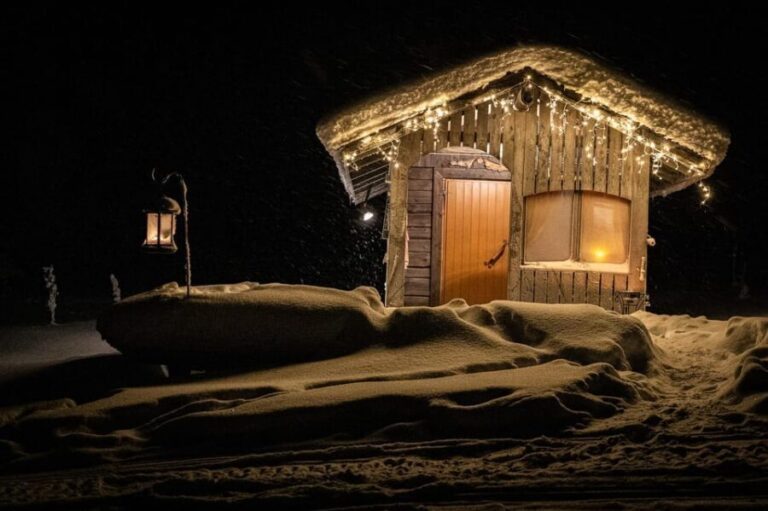 Rovaniemi: Private Sauna and Ice Swimming Tour with Snacks - A Deep Dive into the Experience