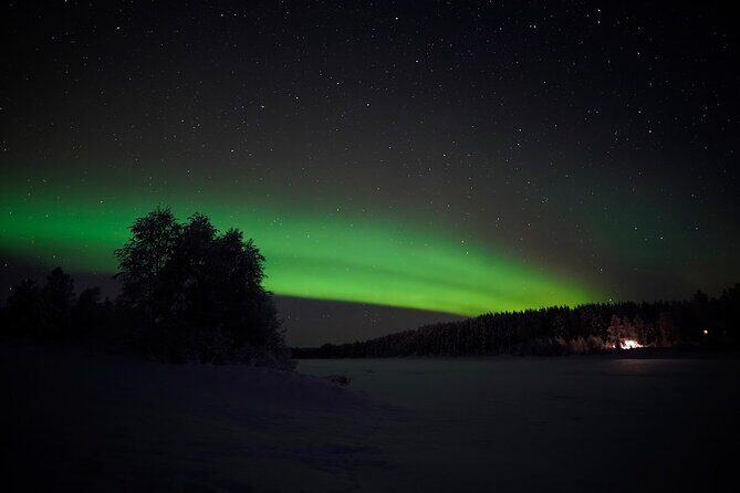 Rovaniemi Real Northern Lights Hunting Experience (Small Group) - Pricing and Value