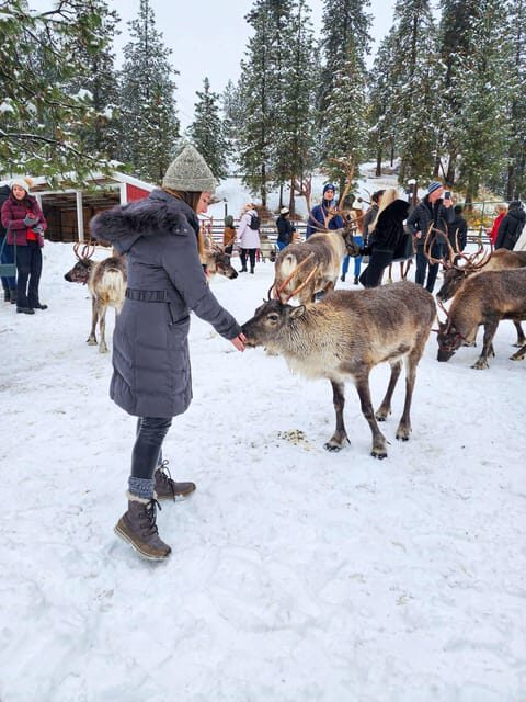 Rovaniemi: Reindeer Farm Visit and Sleigh Ride with transfer - Practical Details and Tips