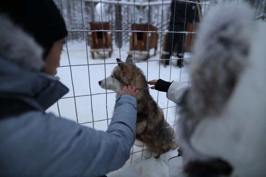 Rovaniemi: Santa Claus Village Tour Huskies & Reindeer Visit - Who Is This Tour Best For?