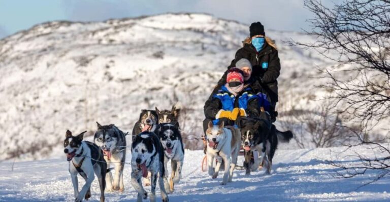 Rovaniemi: Santa's Village, Husky, & Reindeer Sled Ride - The Cost and Its Value