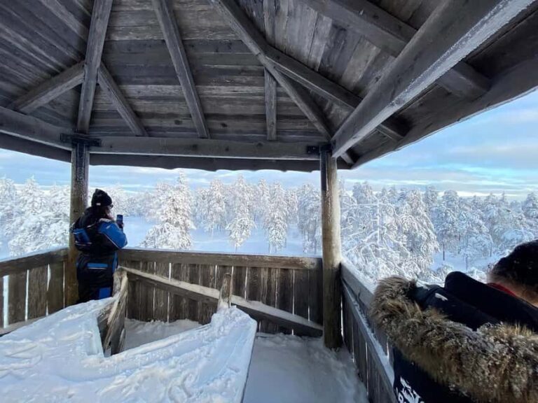 Rovaniemi: Small-Group Snowshoe Tour at Vikaköngäs & BBQ - The Value of the Experience