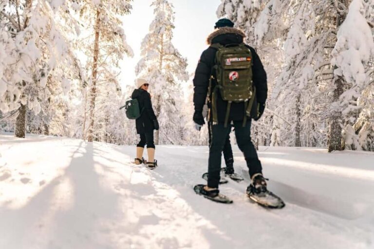 Rovaniemi: Snowshoeing in the Arctic Wilderness - What to Expect from the Tour