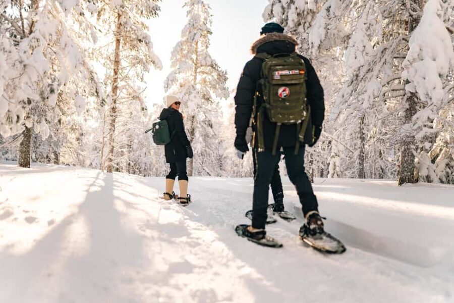 Rovaniemi: Snowshoeing in the Arctic Wilderness - What to Expect from the Tour