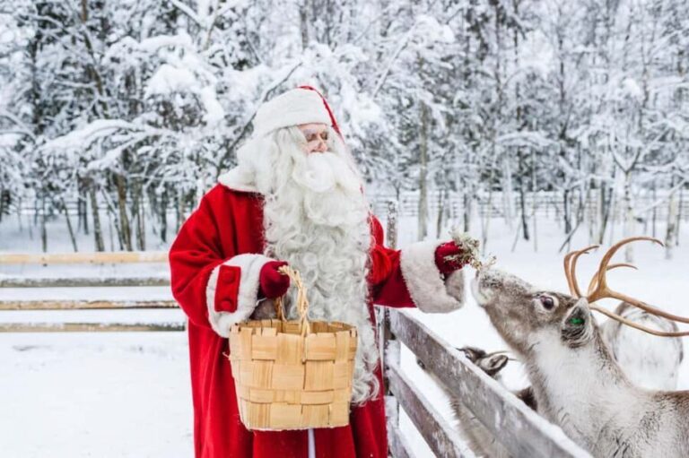 Rovaniemi: Tour to Santa Claus Village with Hotel Transfer - The Practicalities: Pricing, Duration, and Value