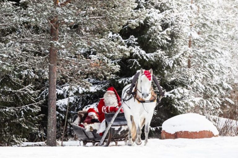 Rovaniemi: Traditional Finnhorse Sleigh Ride at SCV (3km) - Who Will Love This Experience?