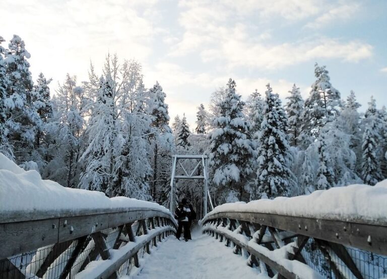 Rovaniemi: Vaattunki Hiking Arctic Circle Trail - Crossing the Arctic Circle