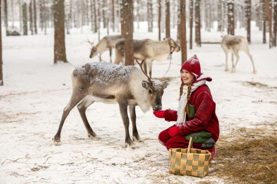 Rovaniemi: Visit to Santa's reindeer farm with reindeer ride - FAQ