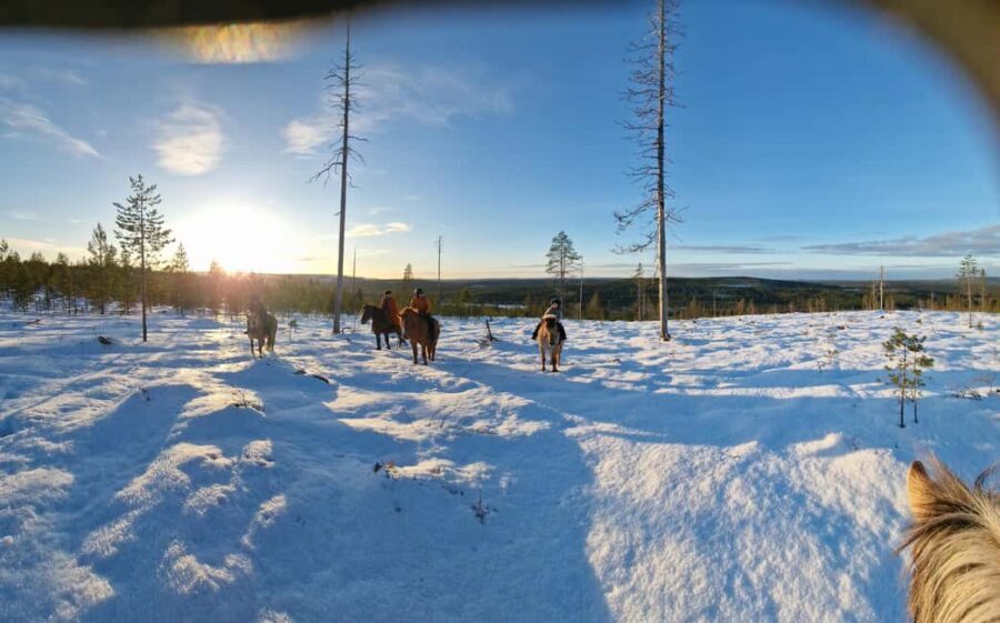 Rovaniemi: Winter Horseback Ride on Snowy Hills and Forests - The Horses and Guides