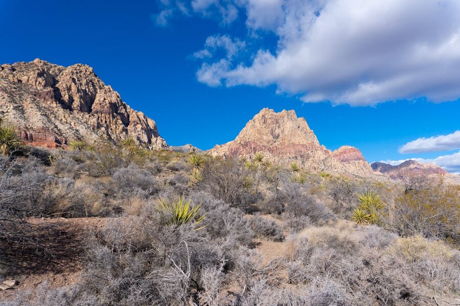 Red Rock Canyon National Conservation Area landscape clear sky