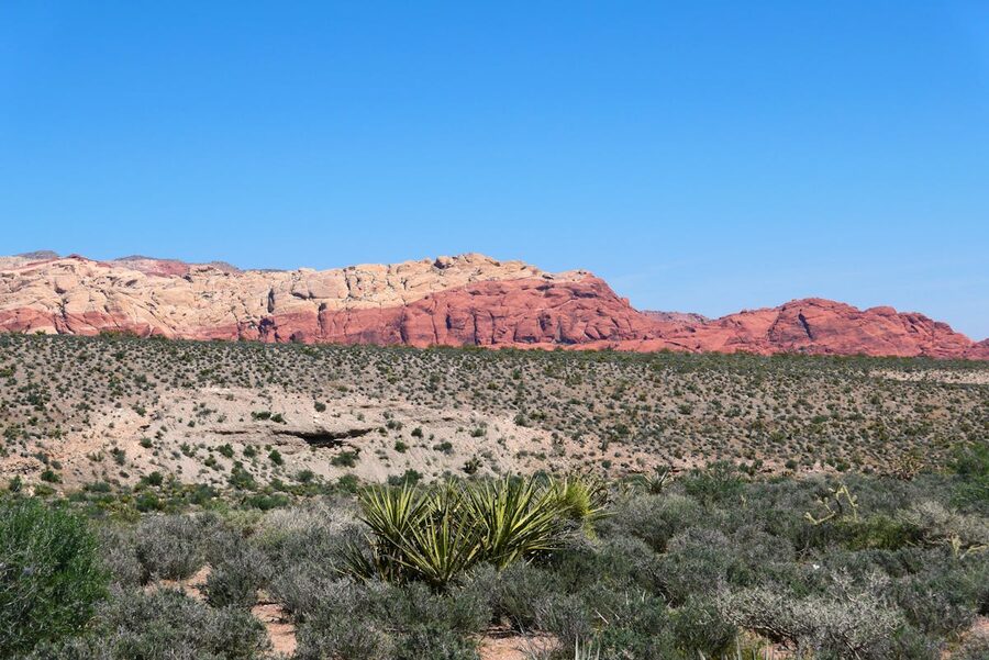 Red Rock Canyon desert landscape under clear blue skies