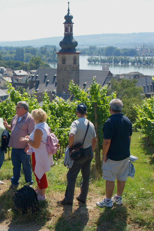 Rüdesheim am Rhein: city tour - Worth Considering: The Pros and Cons