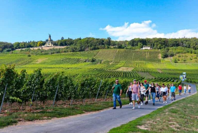 Rüdesheim - Guided wine hikes with 4wines and cable car ride - The Value of This Tour