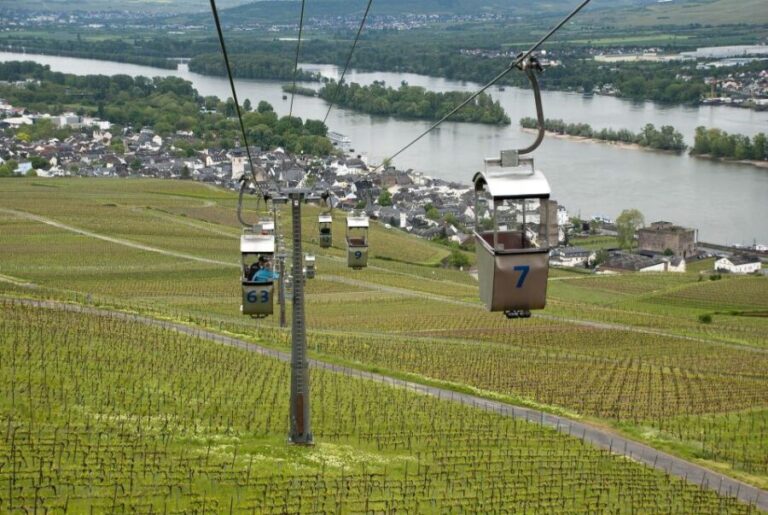 Rüdesheim: Private Guided Walking Tour - Why This Tour Offers Great Value