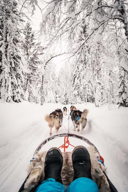 Ruka: 10km Husky Sled Ride with Snacks and Campfire - Is This Experience Worth It?
