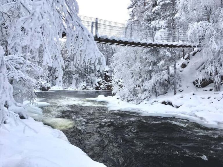 Ruka: Oulanka National Park Snowshoeing Tour - Why This Tour Stands Out