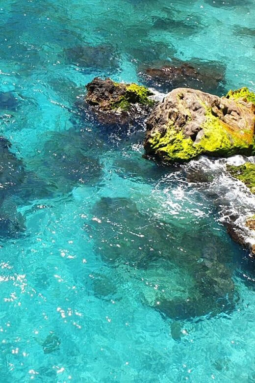 Ruta libre en paddel surf por la cascada de Nerja y Maro - Why This Experience is Worth Considering