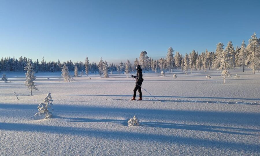 Saariselkä: Back-Country Skiing Guided Tour - Who Should Book This Tour?