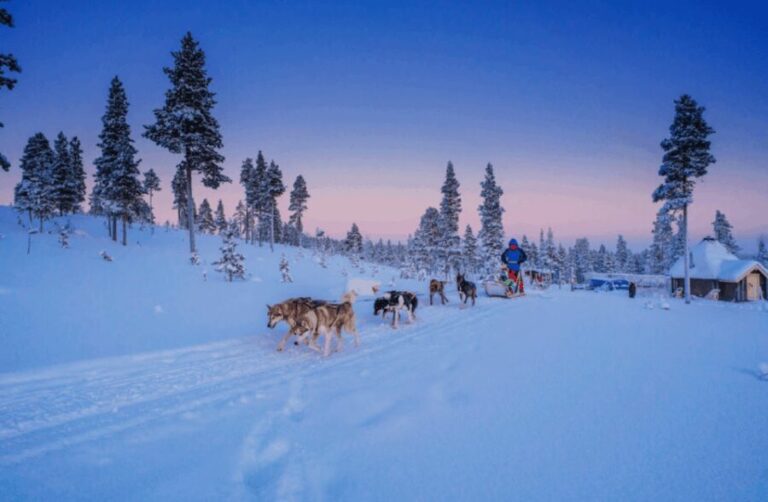 Saariselkä: Husky Safari with Aurora Borealis Hunt - The Itinerary in Detail