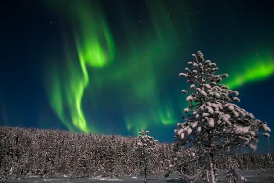 Saariselkä: Northern Lights Hunting Snowshoe Trip - The Sum Up