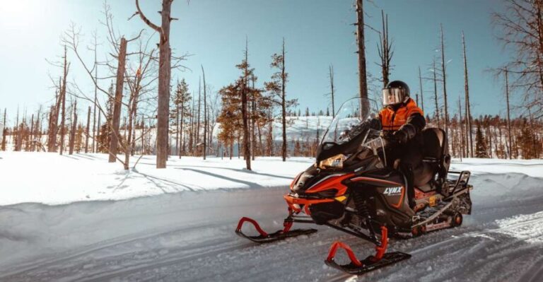 Saariselkä: Snowmobile Adventure for Adults - The Experience Through Reviewers’ Eyes