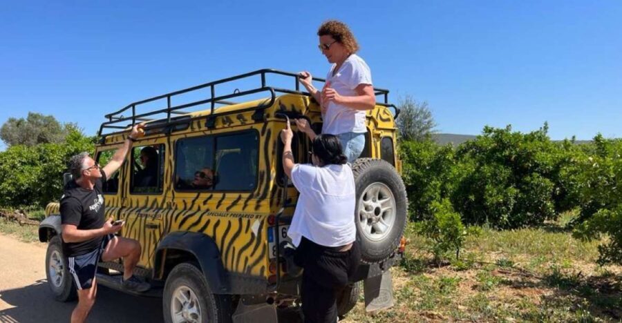 Safari & Boat Tour - Mountains & Dolphins - Practical Tips for Making the Most of Your Day