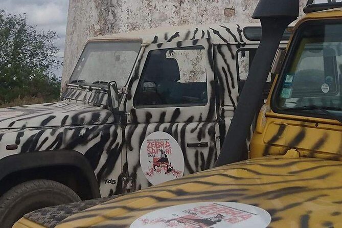 Safari & Boat Tour - Mountains & Dolphins - What Travelers Say: Highlights & Caveats