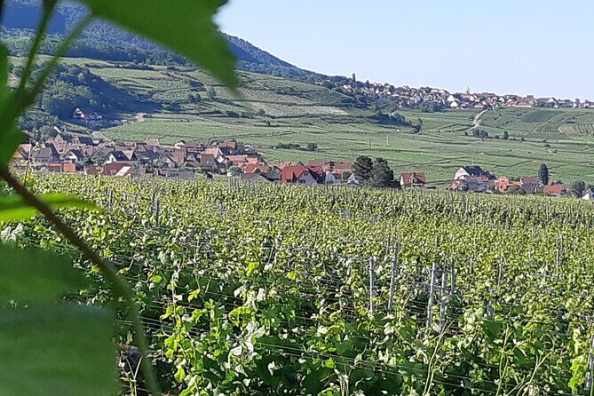 Safari-Tour Villages and vineyard, 1/2 day afternoon - The Value Proposition