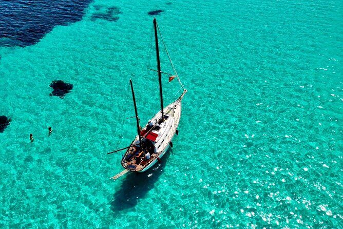 Sailing excursion in the Asinara National Park - Practical Details and Value