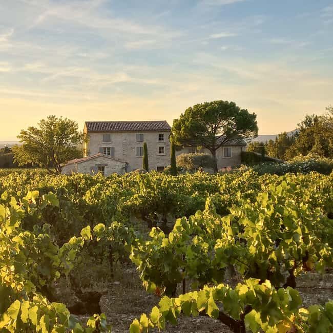 Saint-Didier: visit a vineyard & taste organic wines - FAQs