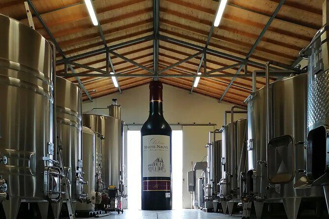 Saint-Émilion: 2 hours - Visit of the vineyard, the cellar and tasting - Authentic Experiences Highlighted by Reviewers