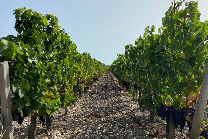 Saint Emilion Castle and Village Wine Tour - What’s Included and What’s Not