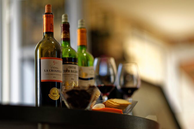 Saint-Emilion Grand Cru Classified: Gourmet Tour in French - Who Is This Tour Best Suited For?