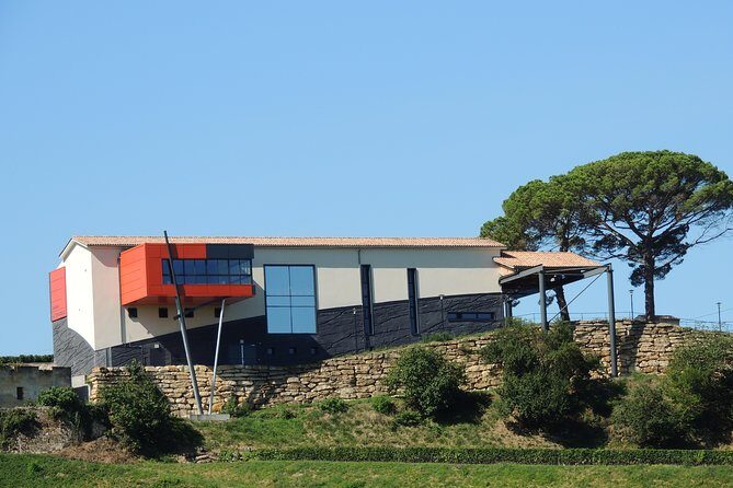 Saint-Emilion Grand Cru Classified: Visit & Tasting in French - A Deep Dive into the Itinerary