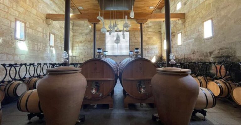 Saint-Emilion : half-day wine-tour into classified estates - Why This Tour Offers Great Value