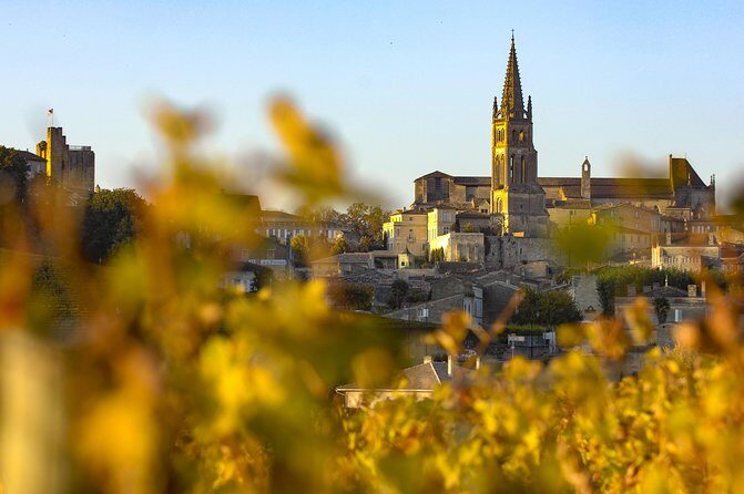 Saint-Emilion Private Full Day Wine Tour from Bordeaux - Exploring the Itinerary: What to Expect