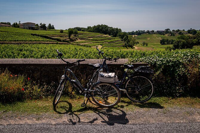 Saint Emilion Wine Tour by E-Bike- Bordeaux Pick up and drop off - Analyzing the Value: Is It Worth the Price?