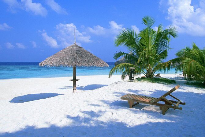 Saint-Tropez Full Day Private Tour - What to Expect with Transportation and Timing