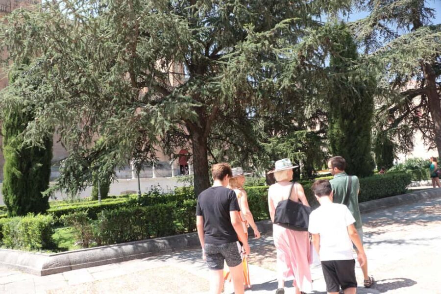 Salamanca: Private Walking Tour with a Local - Why We Love This Tour